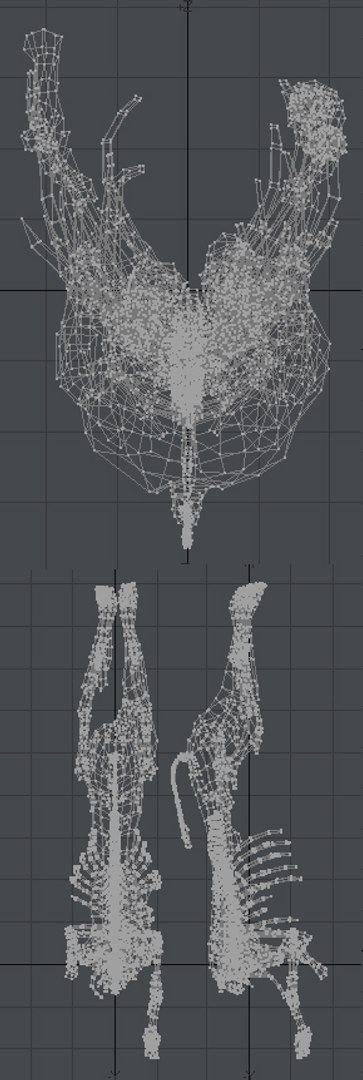 3d Model Dead Cow
