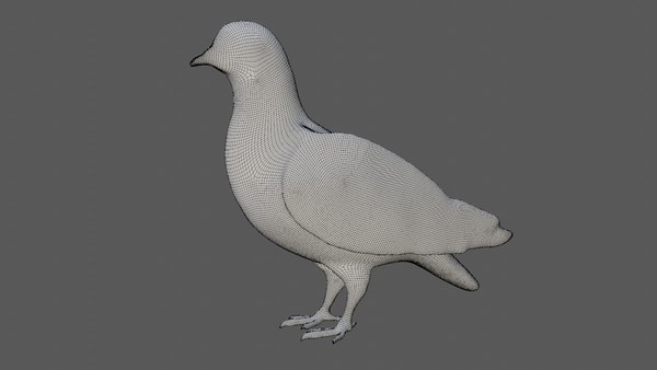 Fully Rigged Low Poly Standing Pigeon model - TurboSquid 1760181