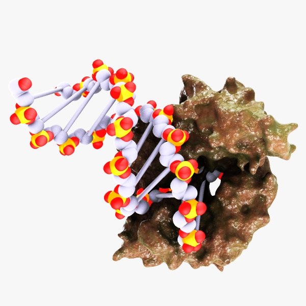 3D Enzyme Models | TurboSquid