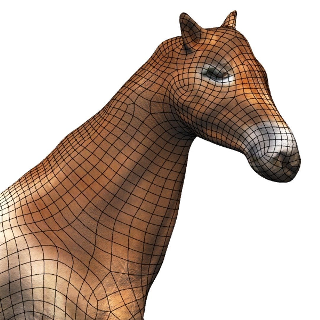 Max Horse