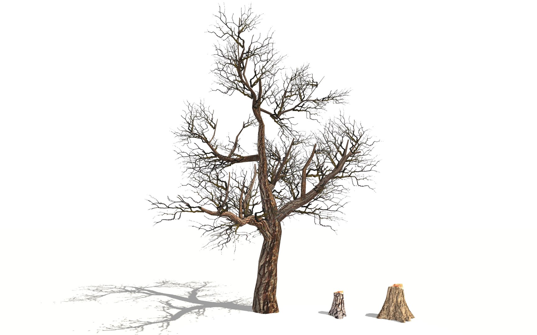 Realistic Dead Tree Stump 3D Model - TurboSquid 1517332