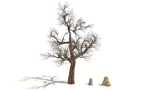 Realistic dead tree stump 3D model - TurboSquid 1517332