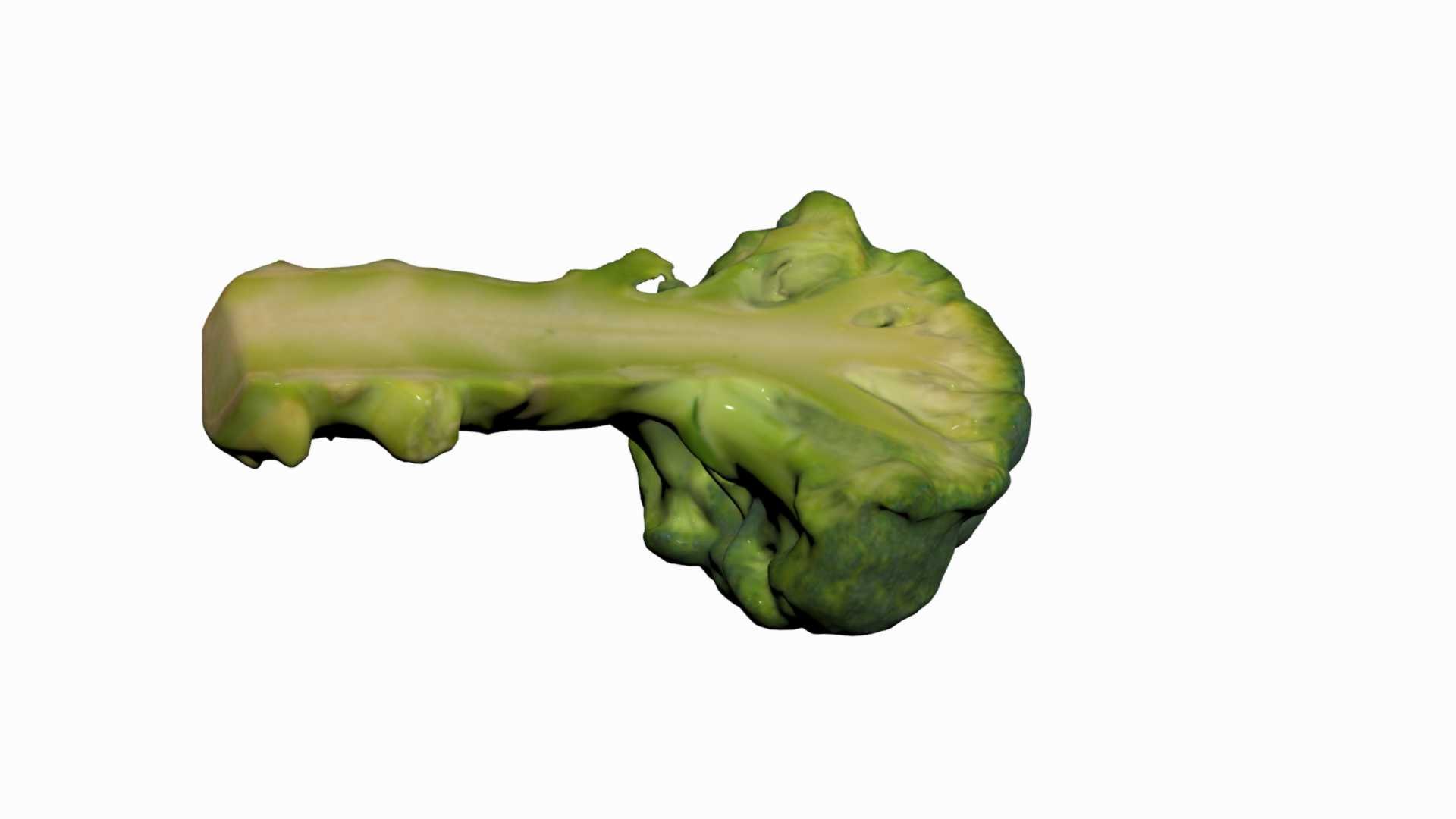 3D Half Broccoli - TurboSquid 1741118