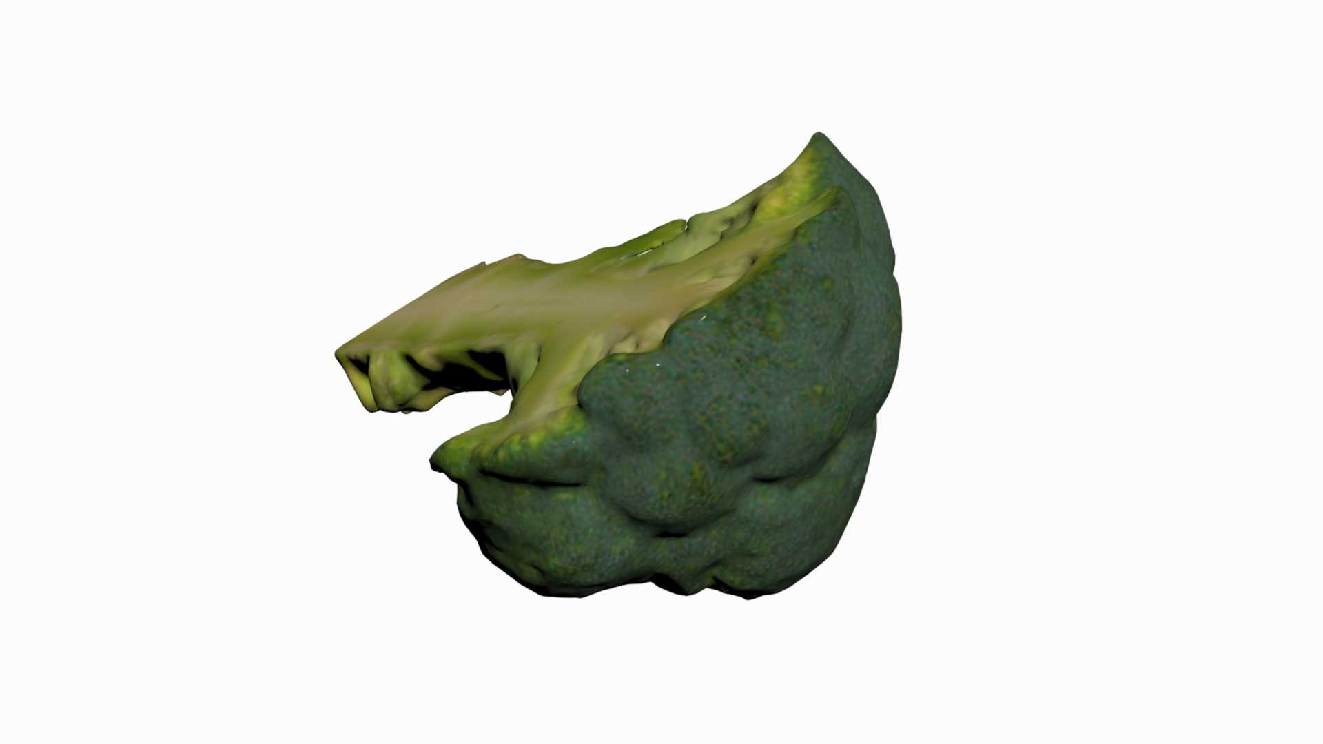 3D Half Broccoli - TurboSquid 1741118