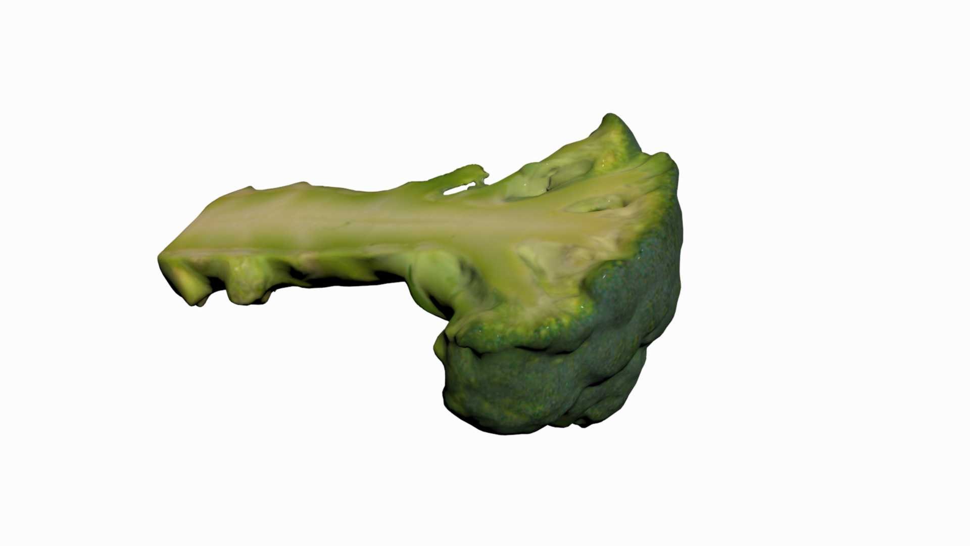 3D Half Broccoli - TurboSquid 1741118