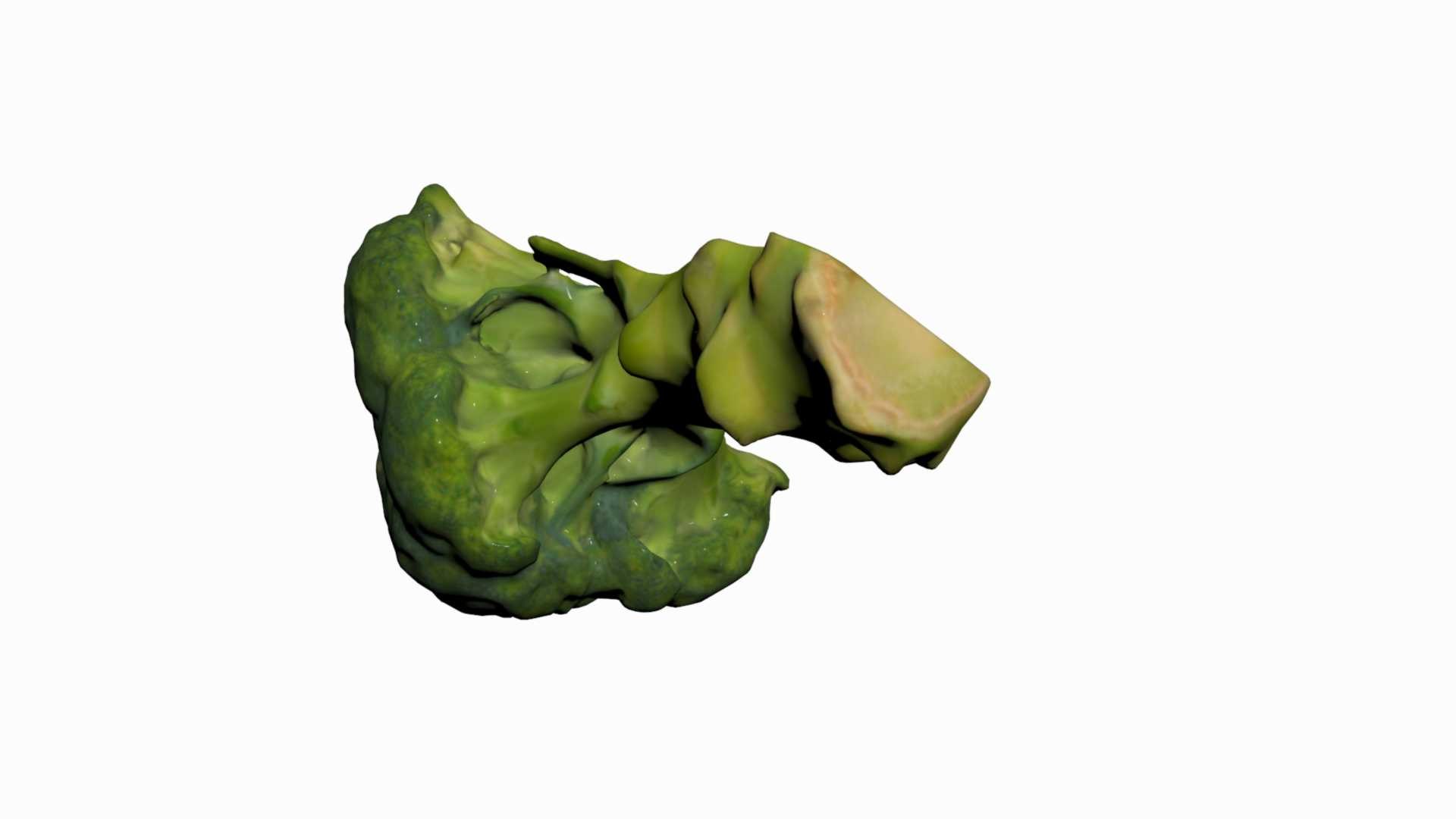 3D Half Broccoli - TurboSquid 1741118