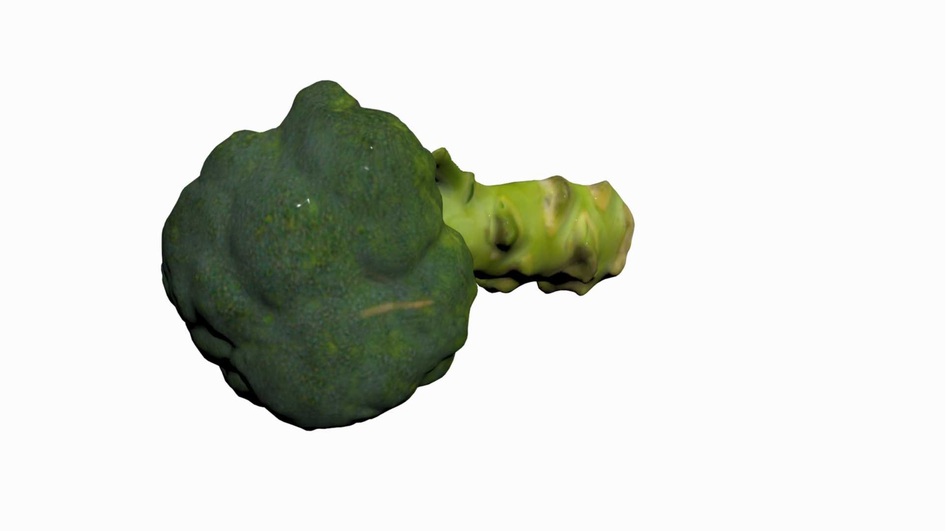 3D Half Broccoli - TurboSquid 1741118