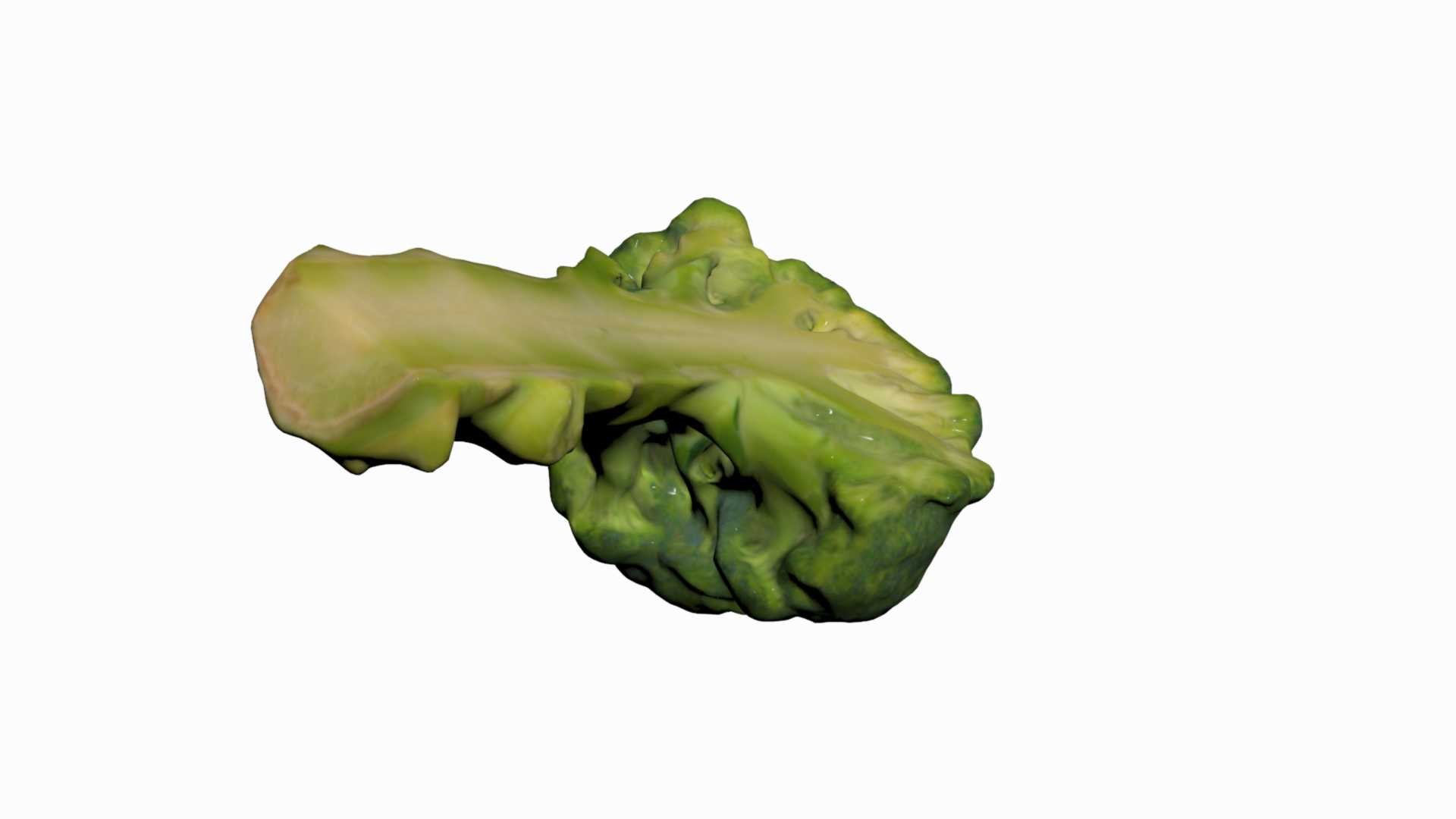 3D Half Broccoli - TurboSquid 1741118