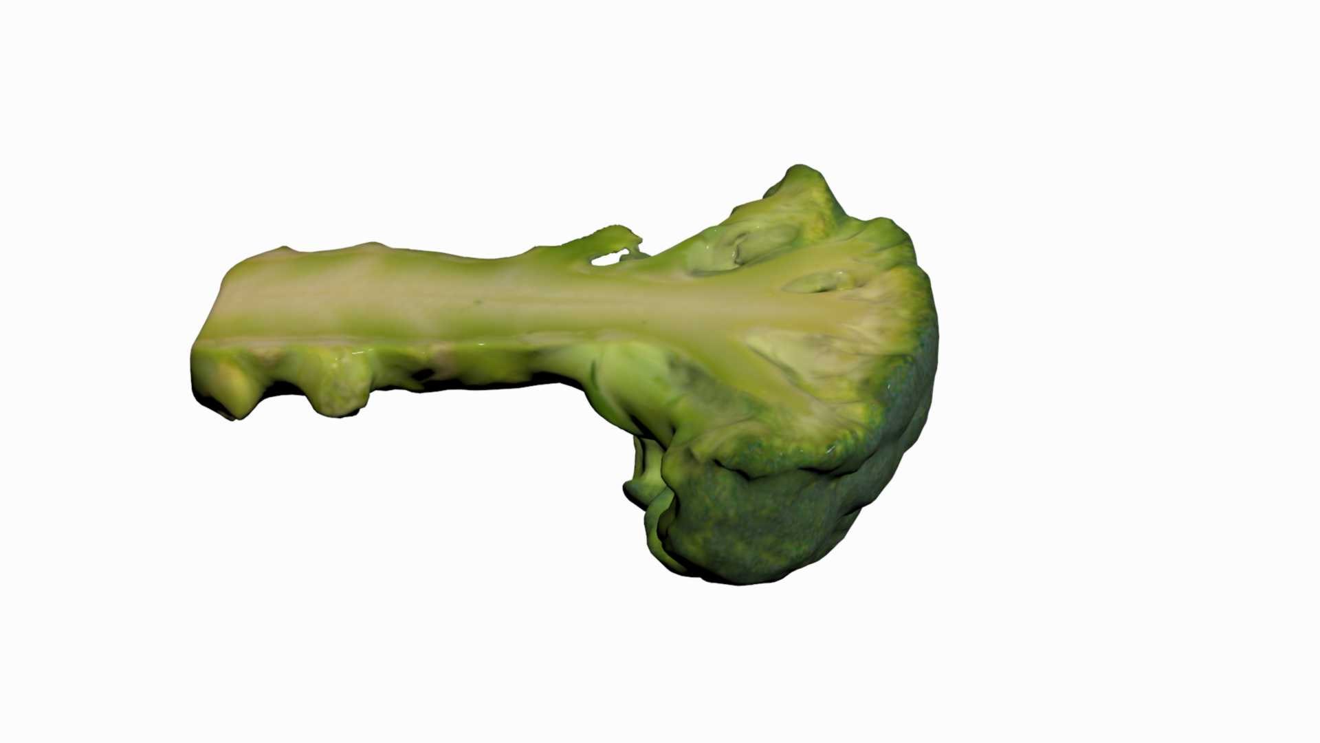 3D Half Broccoli - TurboSquid 1741118