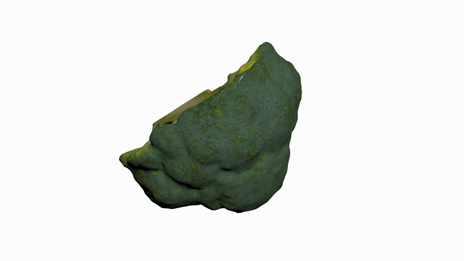 3D Half Broccoli - TurboSquid 1741118