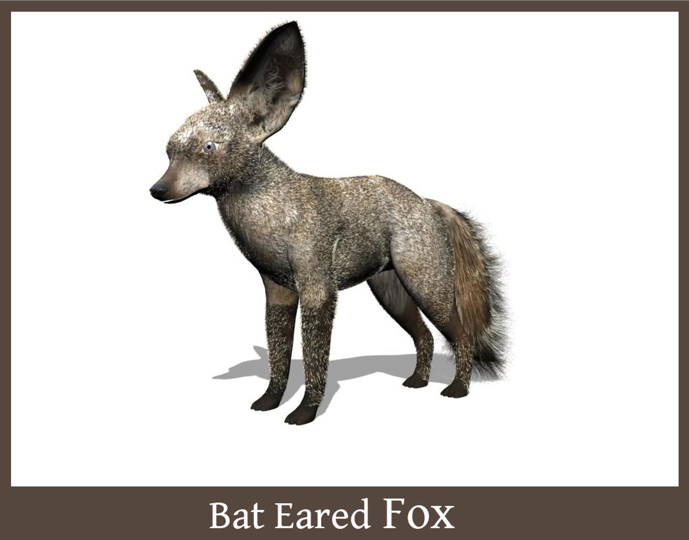 3ds max fox