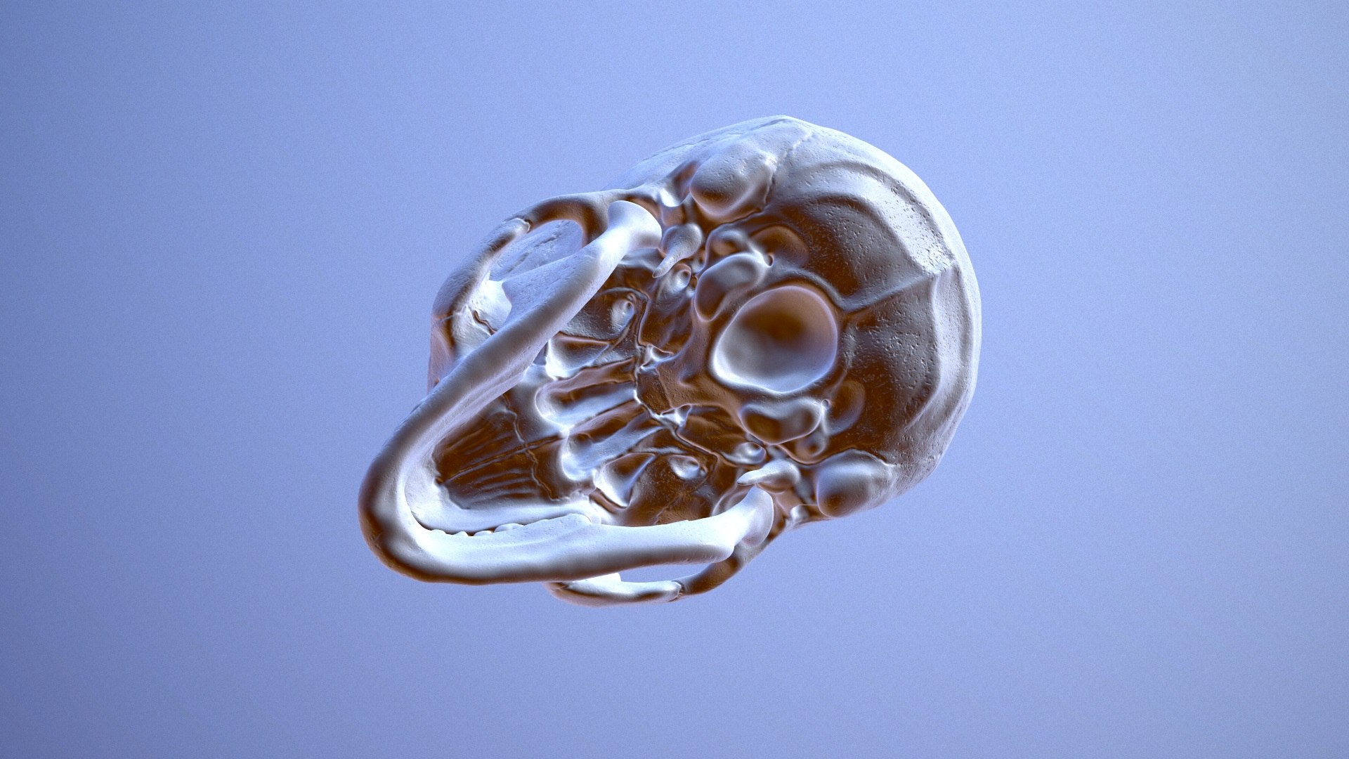 3D Detailed High And Low Poly Human Skull 3D Model - TurboSquid 2255455