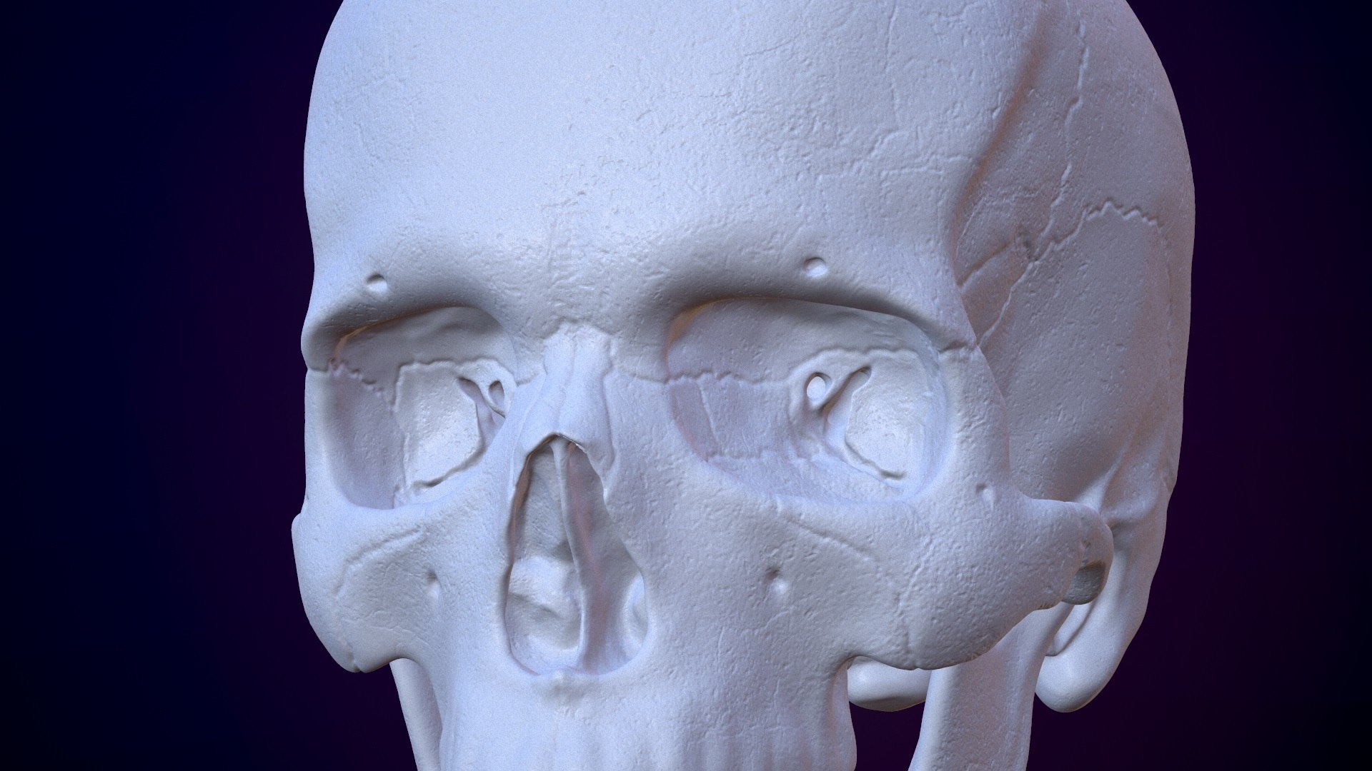 3D Detailed High And Low Poly Human Skull 3D Model - TurboSquid 2255455