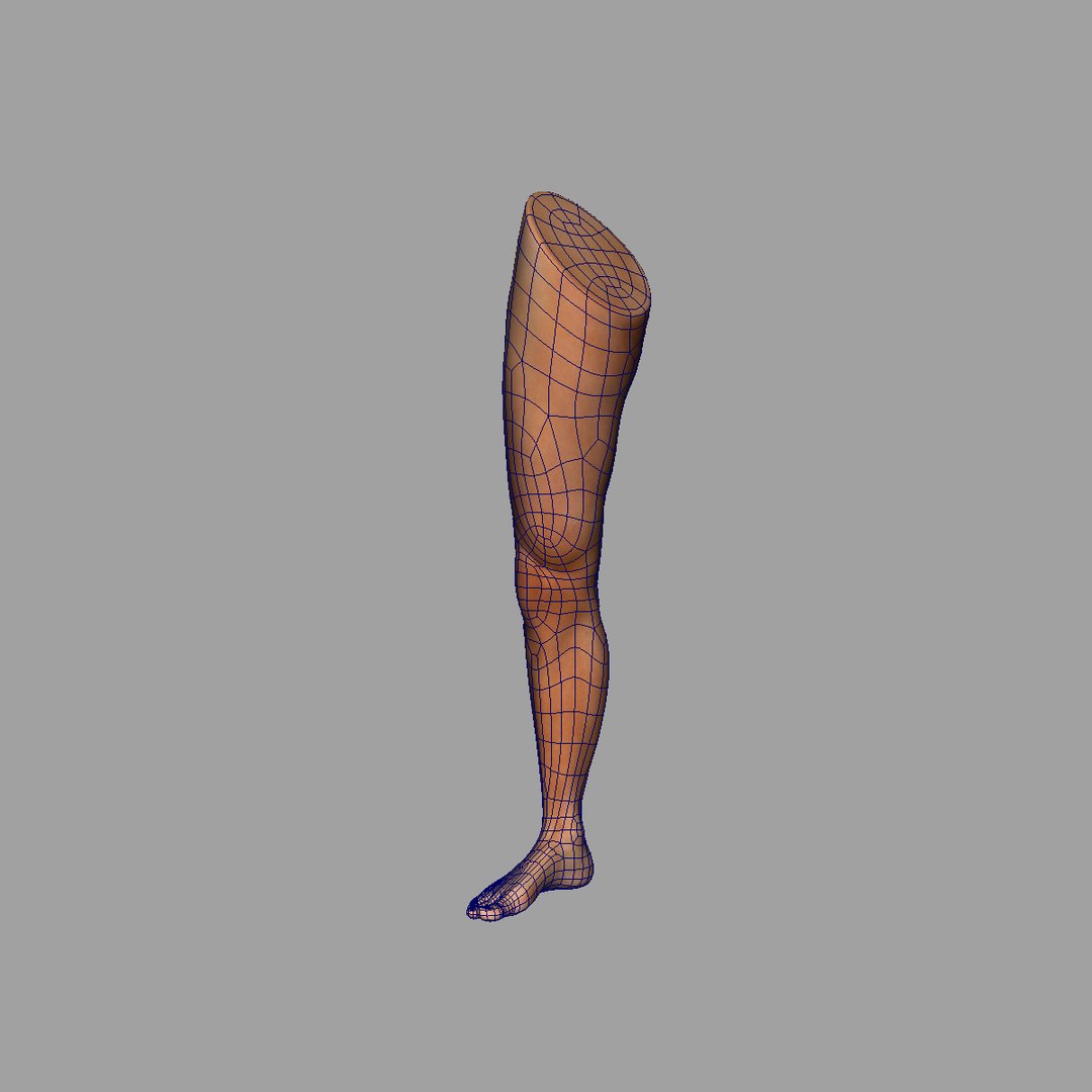 Human Leg 3D Model - TurboSquid 1293662