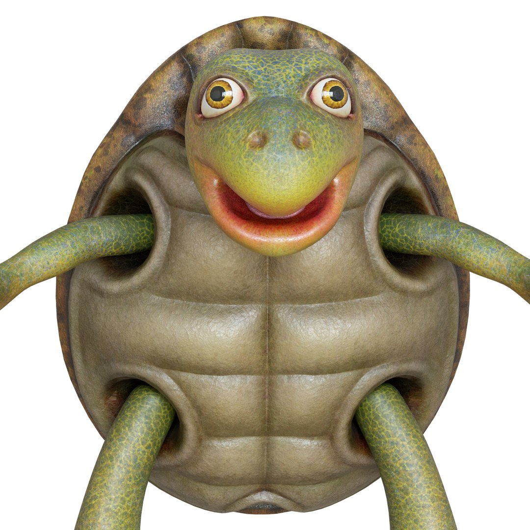 3D Cartoon Turtle Model - TurboSquid 1808513