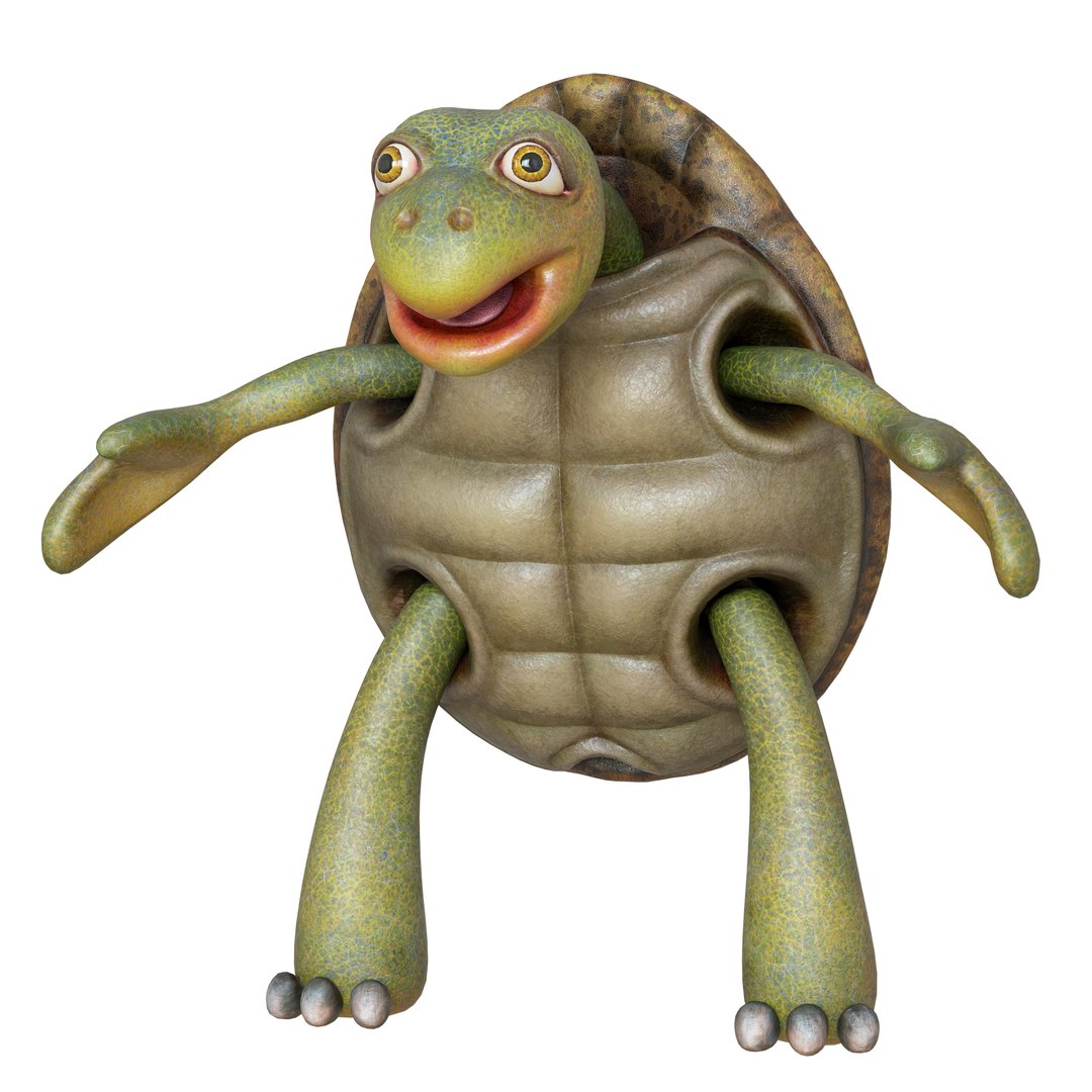 3D Cartoon Turtle Model - TurboSquid 1808513