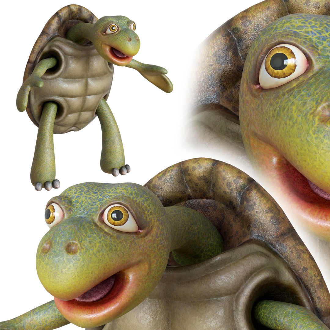 3D Cartoon Turtle Model - TurboSquid 1808513