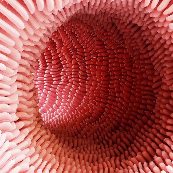 modelo 3d Intestinal villi Animation - TurboSquid 2054148