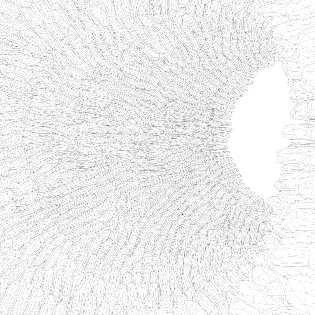 3D Intestinal Villi Animation - TurboSquid 2054148