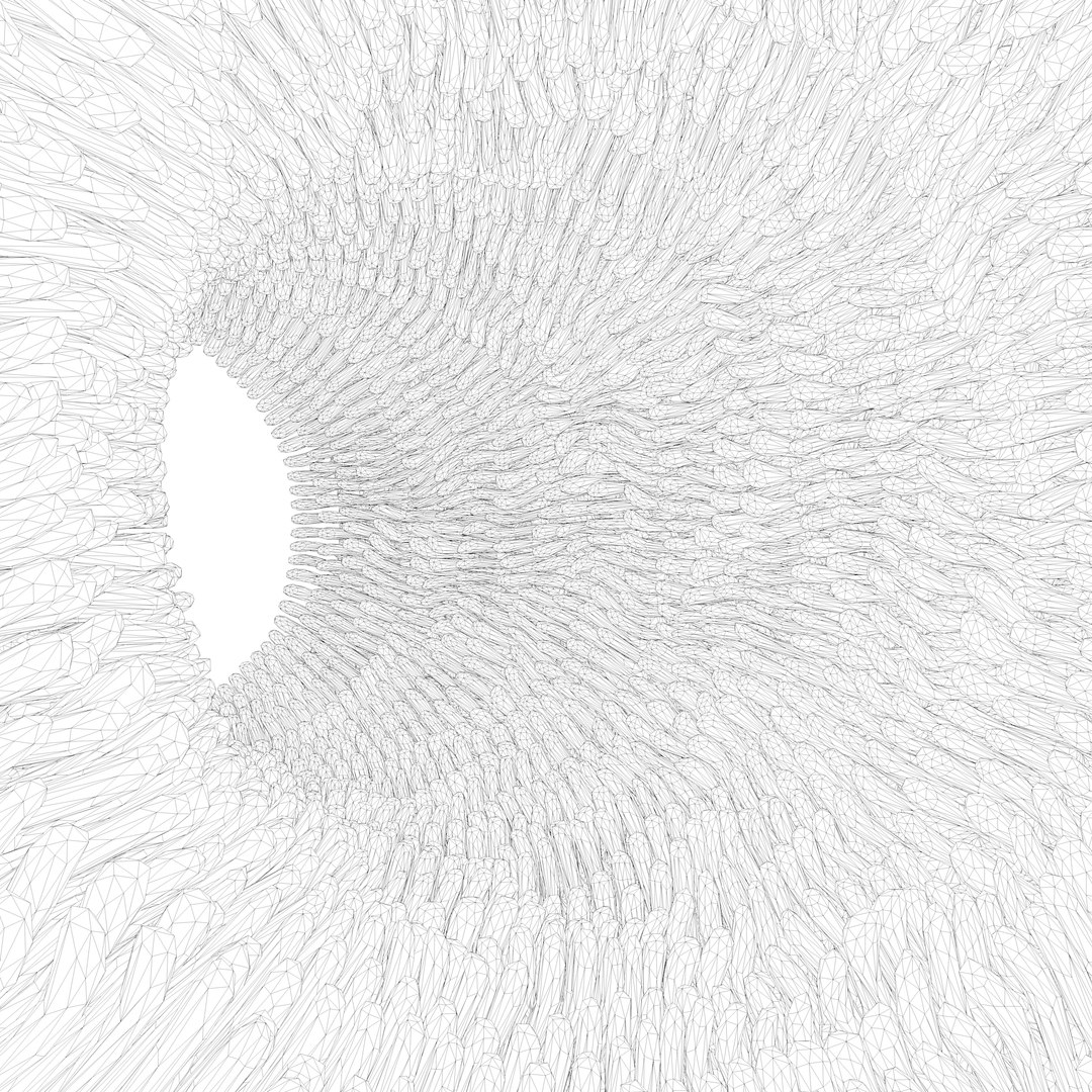 3D Intestinal Villi Animation - TurboSquid 2054148