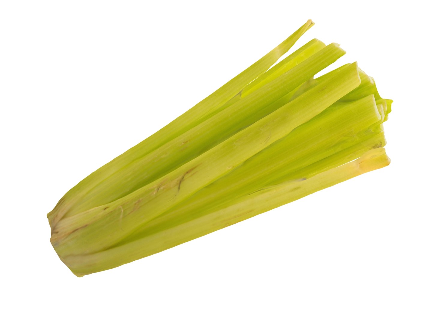Celery 8k 3d Model