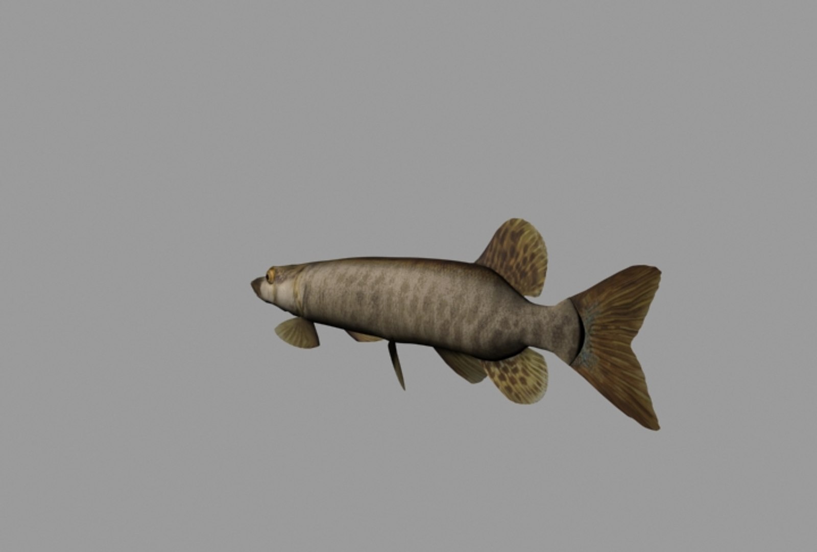 Max Muskie Fish