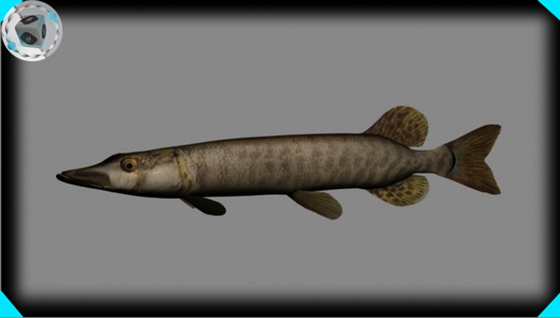 Max Muskie Fish