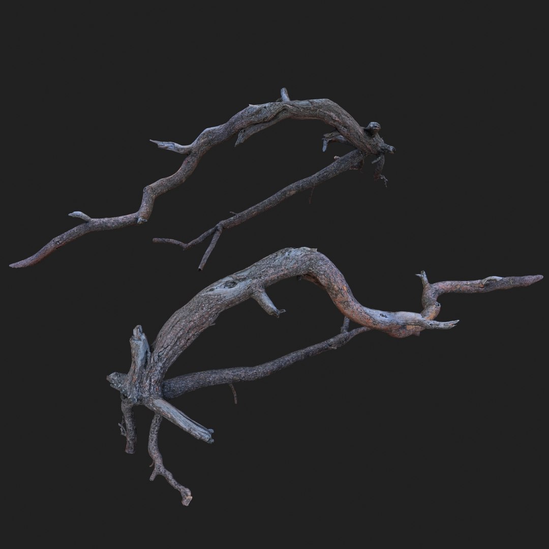 3D Dead Tree Scan Sna0003 Model - TurboSquid 1400813