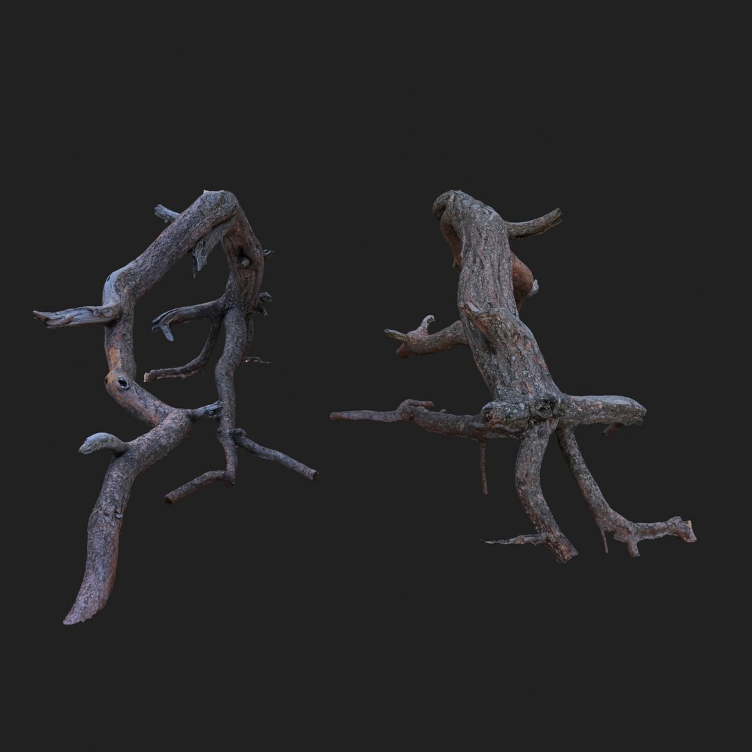 3D Dead Tree Scan Sna0003 Model - TurboSquid 1400813