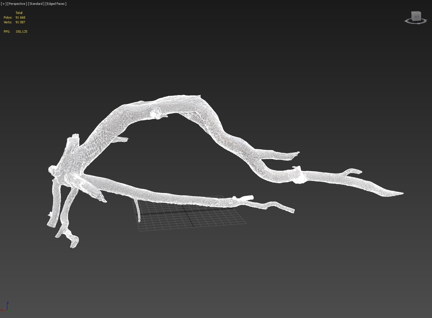 3D Dead Tree Scan Sna0003 Model - TurboSquid 1400813