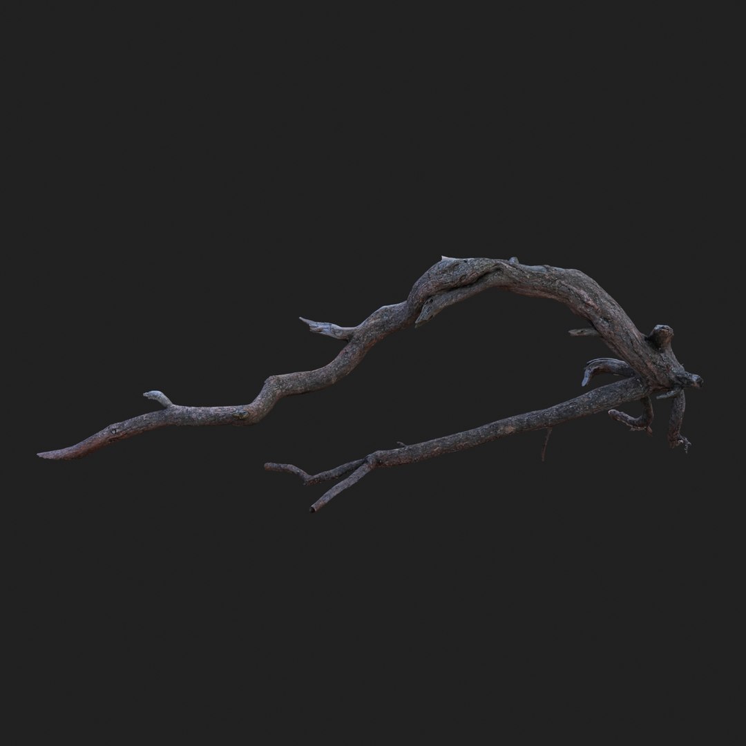3D Dead Tree Scan Sna0003 Model - TurboSquid 1400813