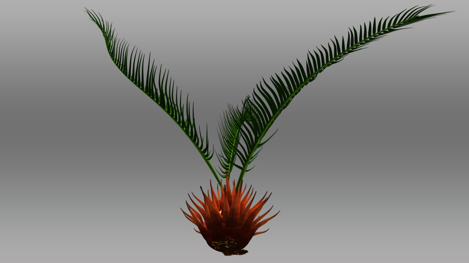 Bulbil Cycas Circinalis 3d Model