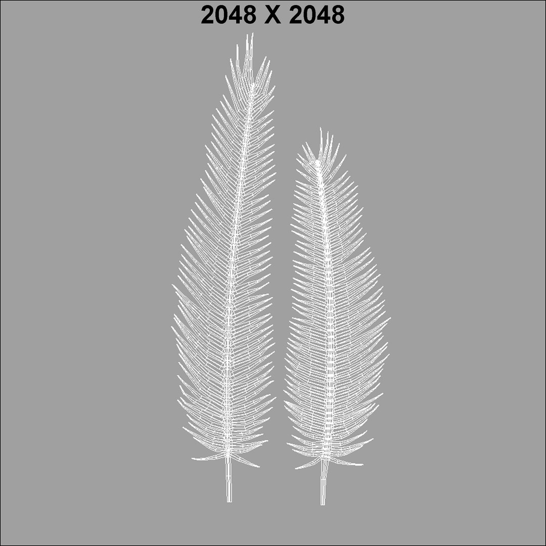 Bulbil Cycas Circinalis 3d Model