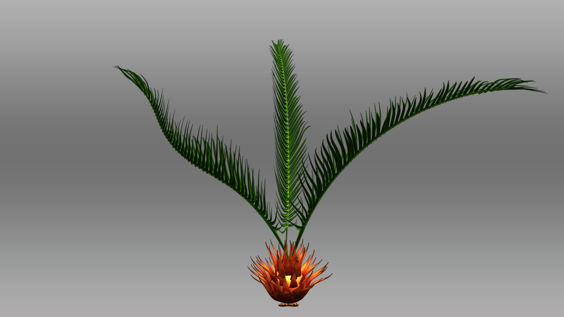 Bulbil Cycas Circinalis 3d Model