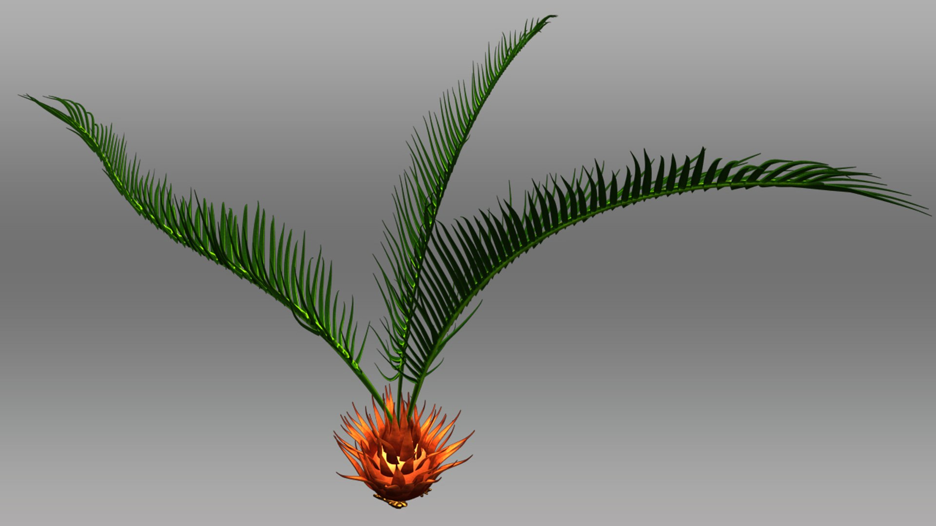 Bulbil Cycas Circinalis 3d Model