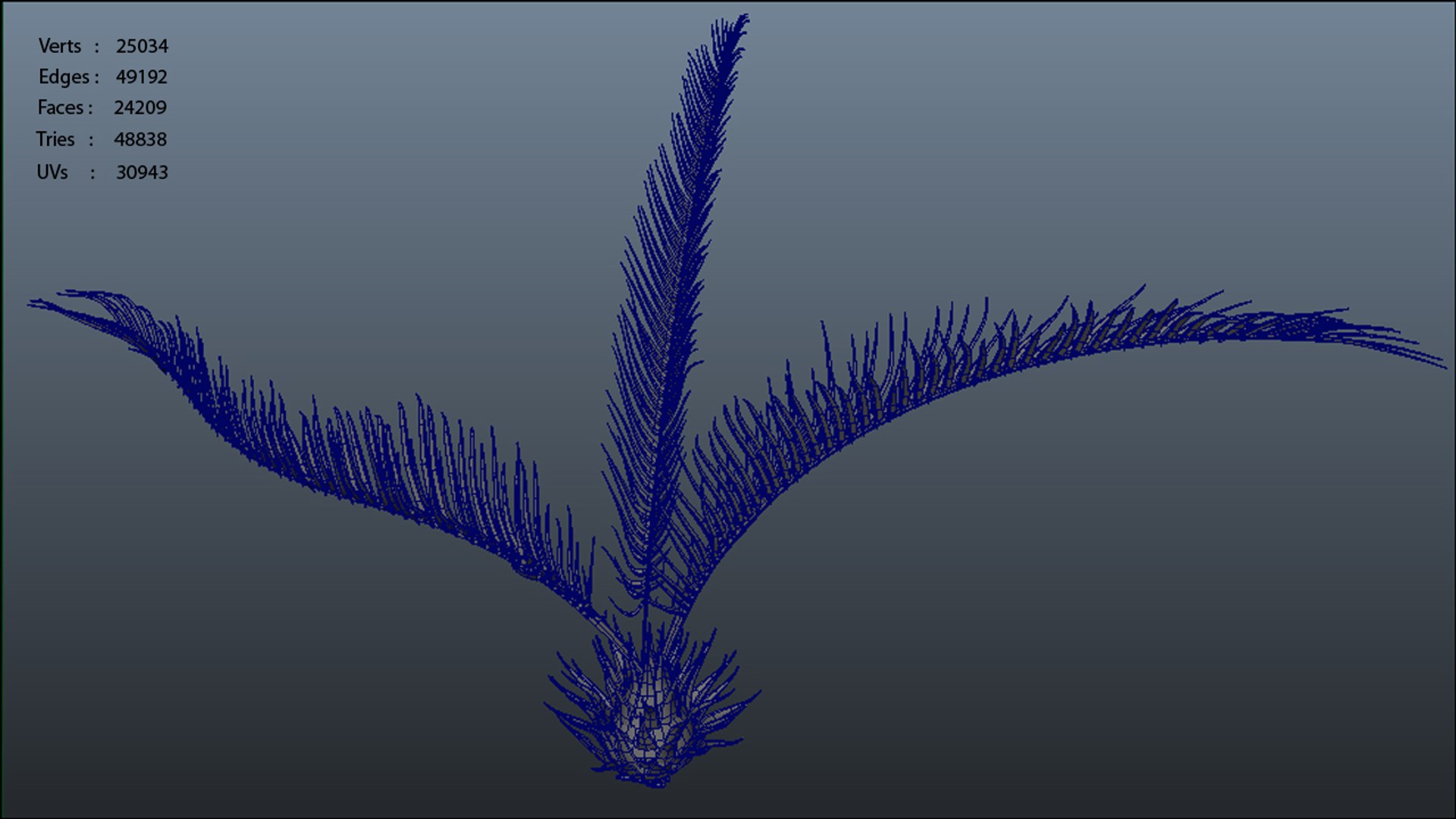 Bulbil Cycas Circinalis 3d Model