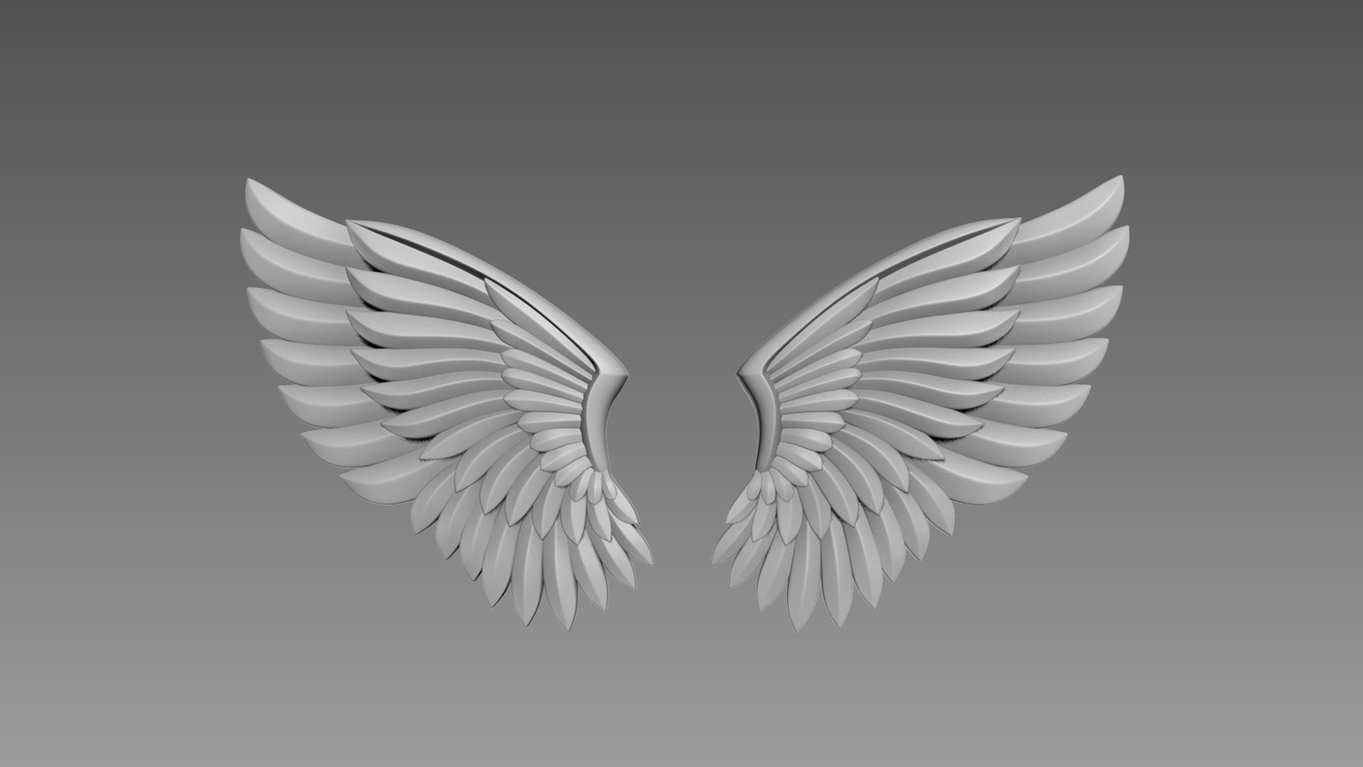3D Wings Relief Model - TurboSquid 2139309