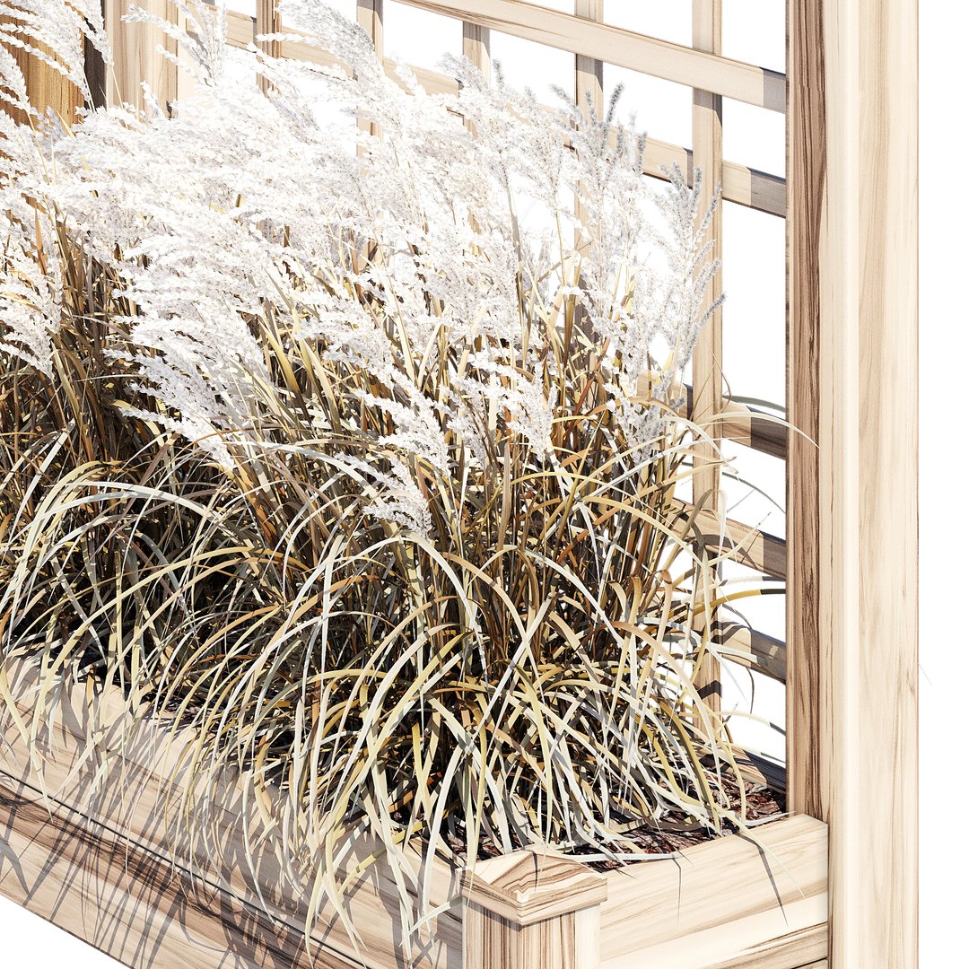 Myrtlene Myroslava 3D Model - TurboSquid 2044328