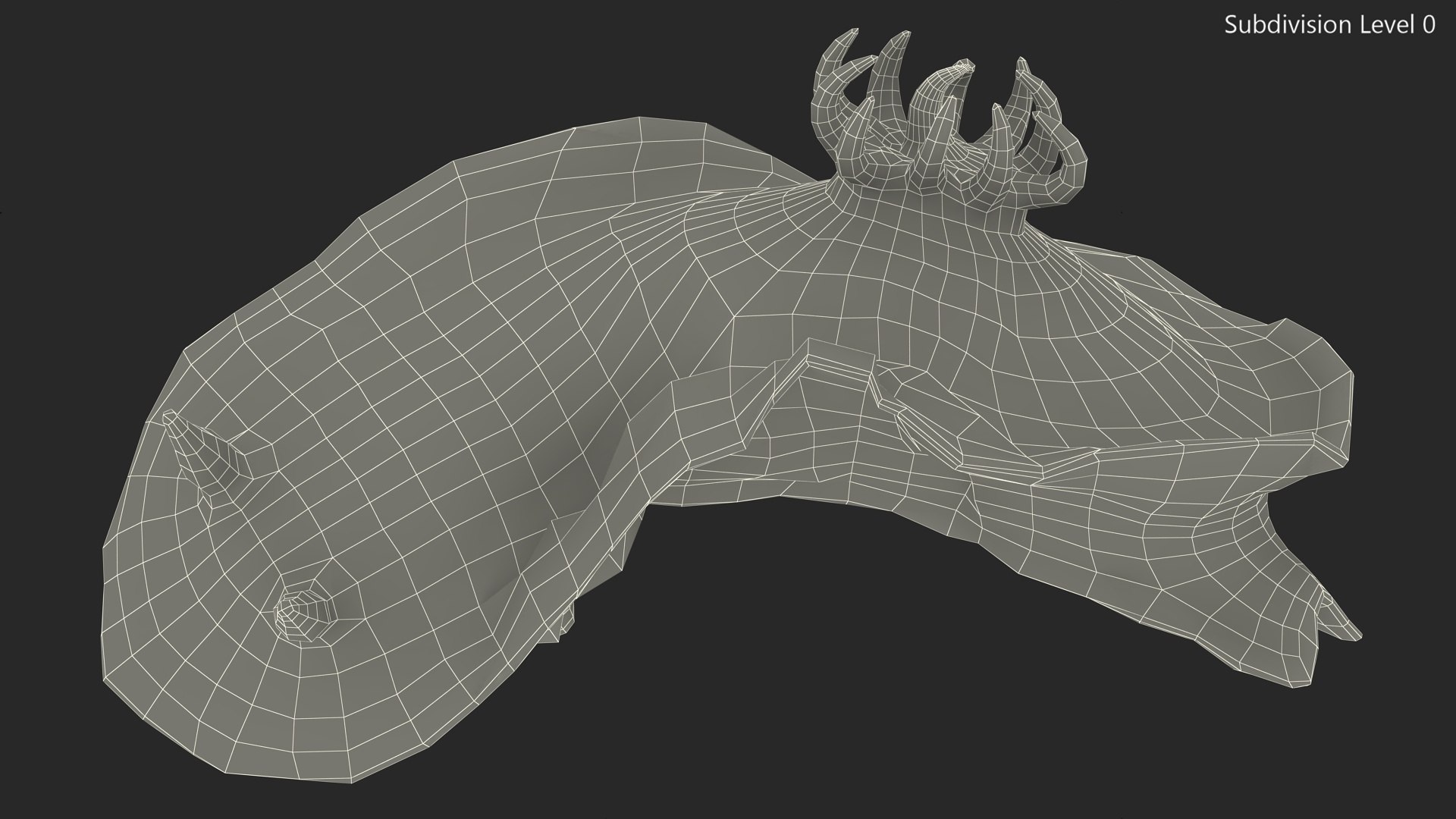 3D Chromodoris Willani - TurboSquid 2202029