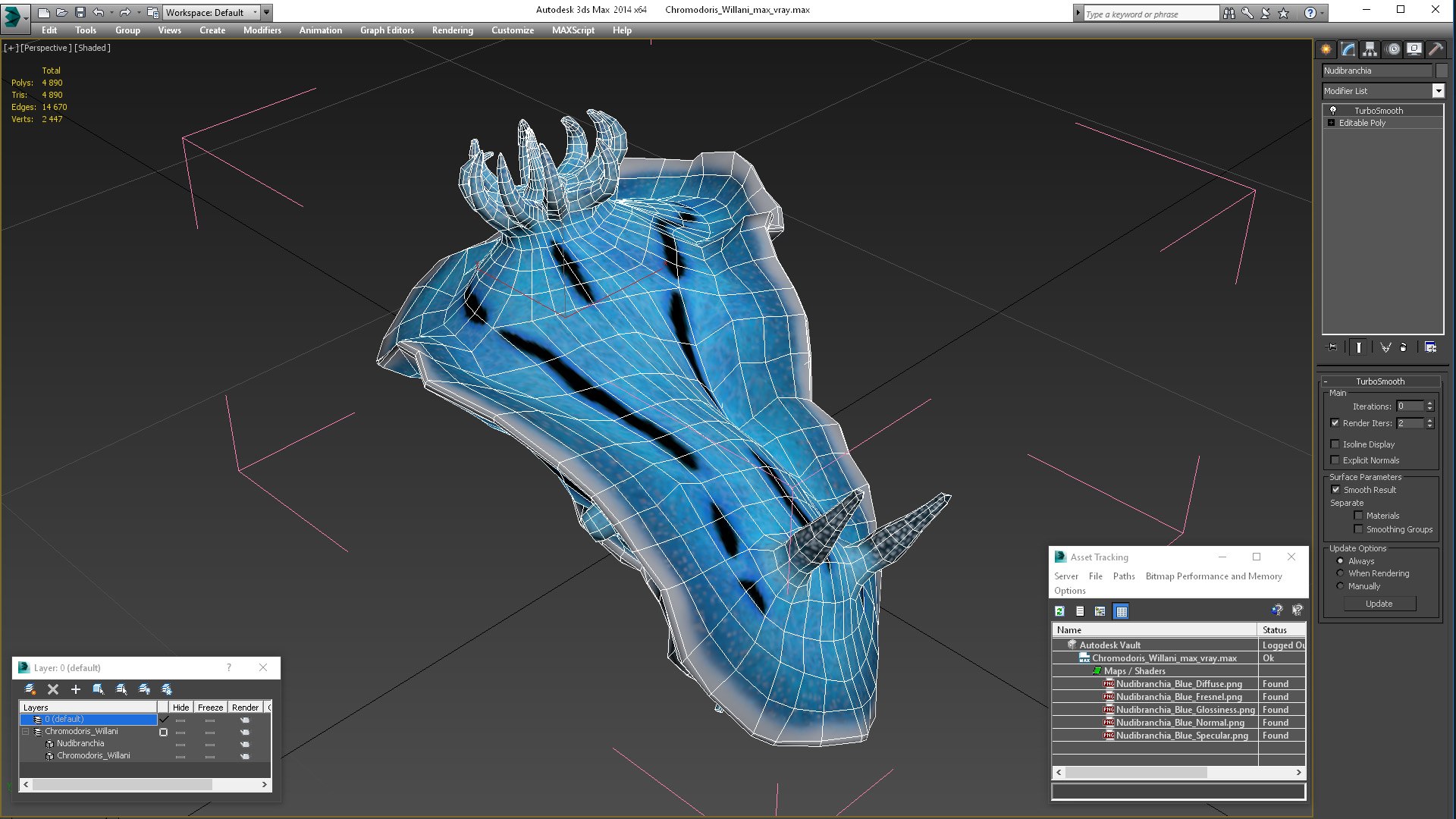 3D Chromodoris Willani - TurboSquid 2202029