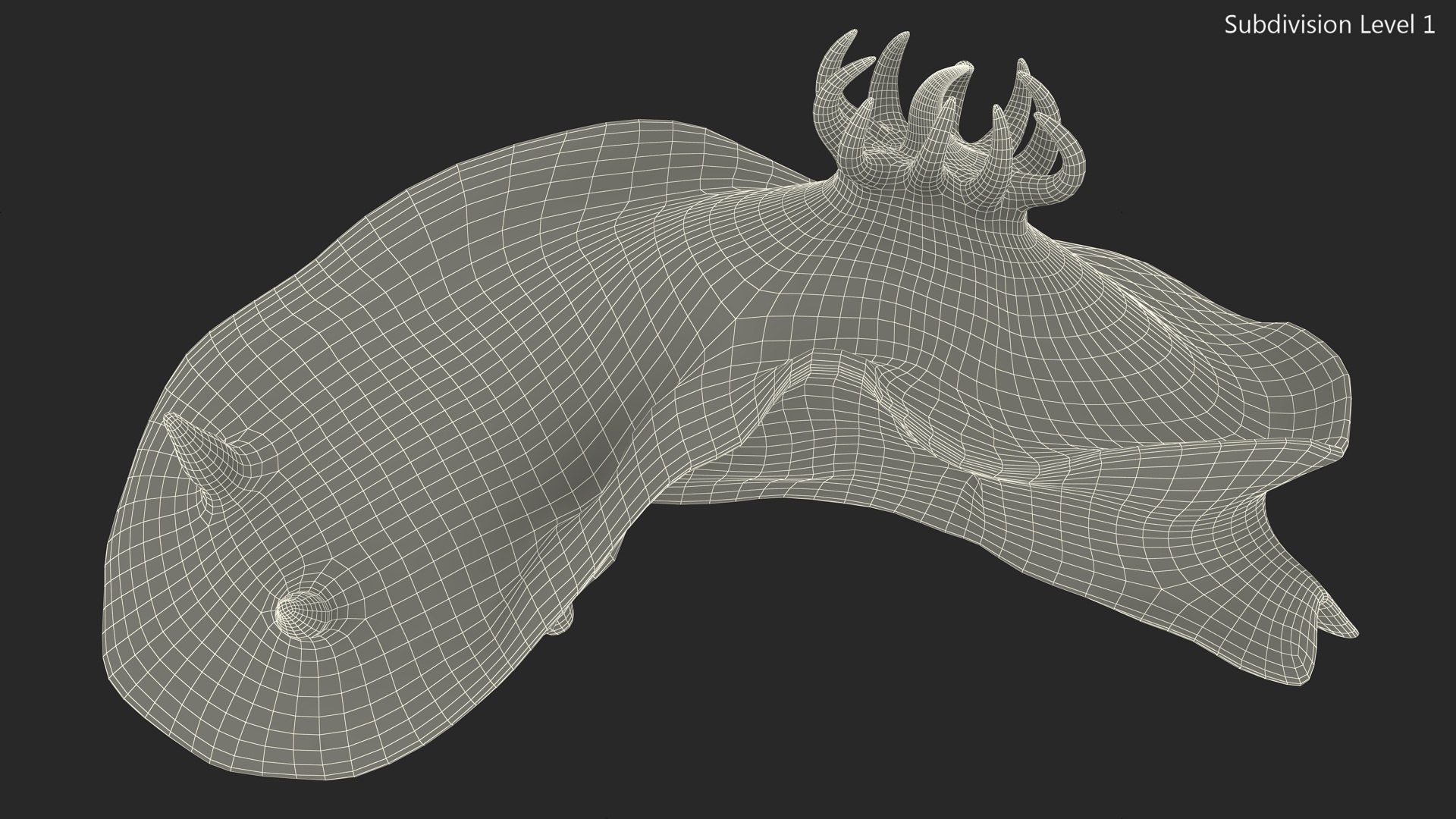 3D Chromodoris Willani - TurboSquid 2202029