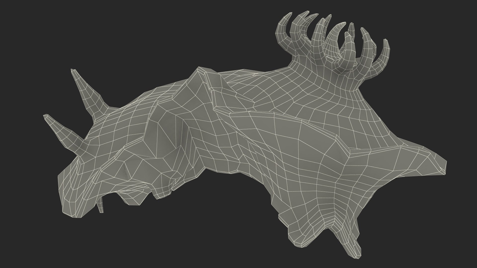 3D Chromodoris Willani - TurboSquid 2202029