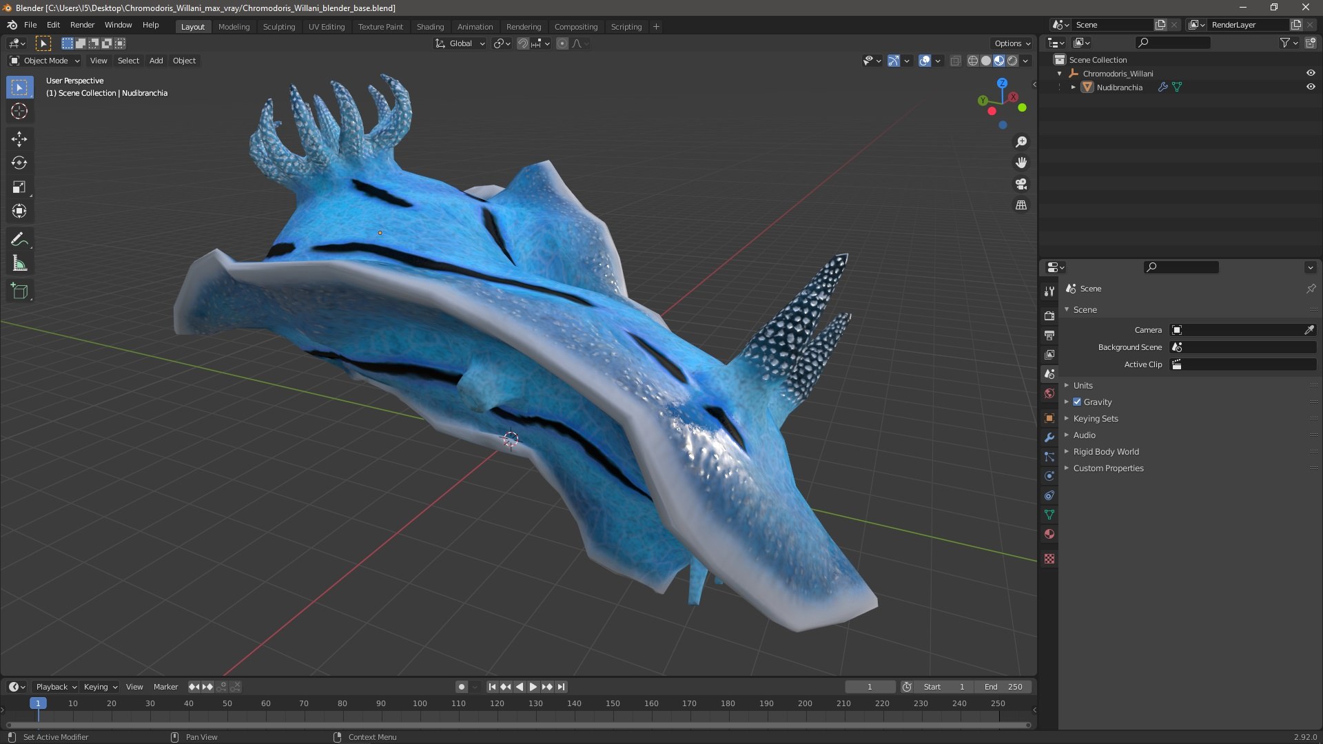 3D Chromodoris Willani - TurboSquid 2202029