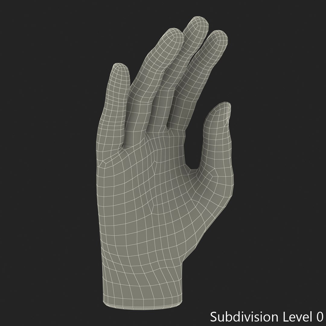 3d Model Of Plastic Hand