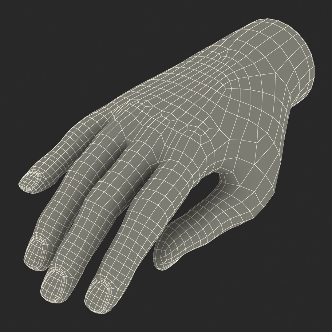 3d Model Of Plastic Hand