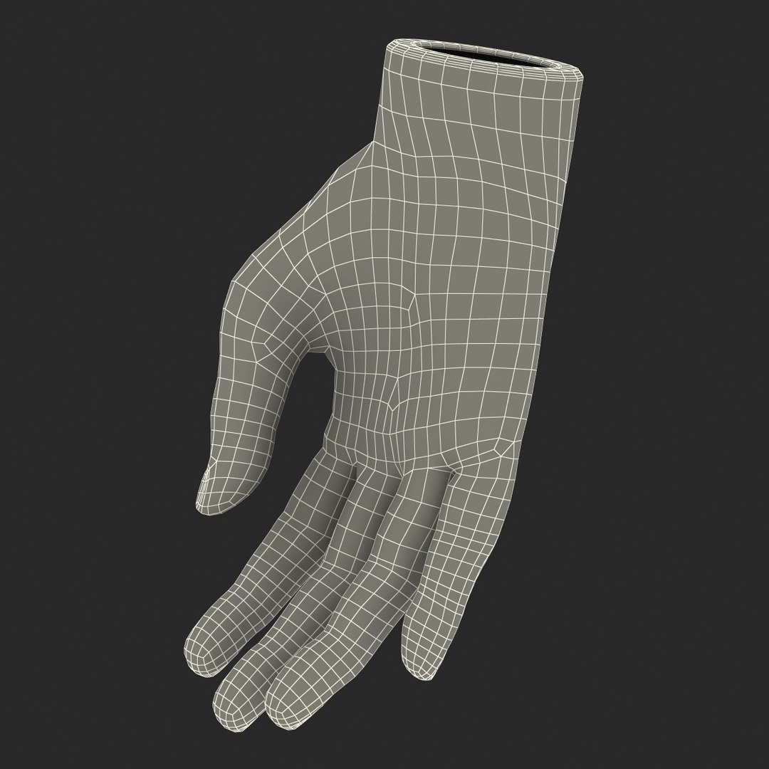 3d Model Of Plastic Hand