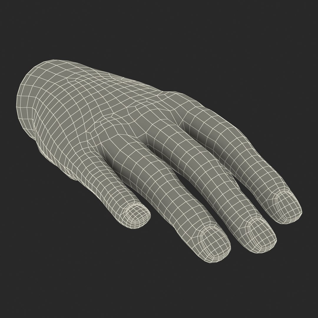 3d Model Of Plastic Hand