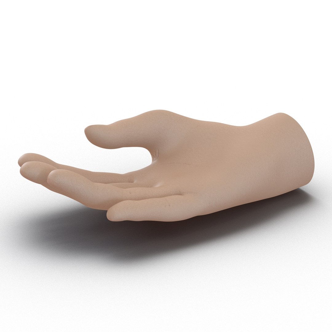 3d Model Of Plastic Hand