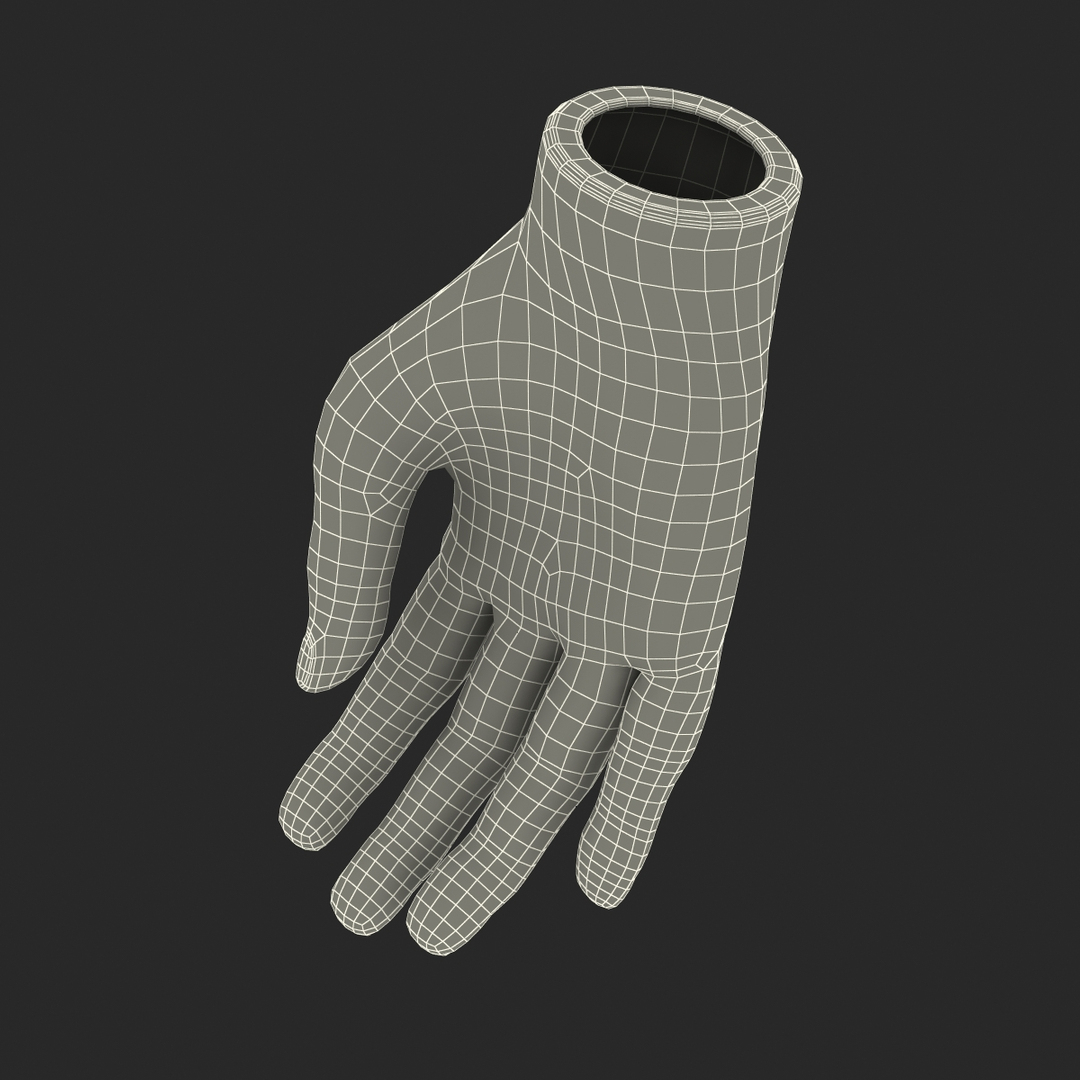 3d Model Of Plastic Hand