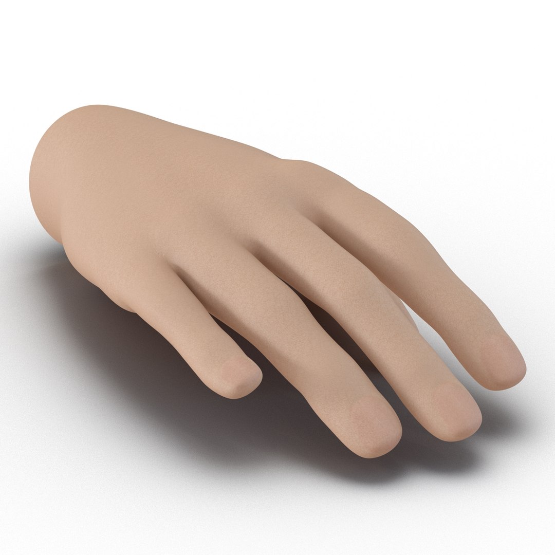 3d Model Of Plastic Hand
